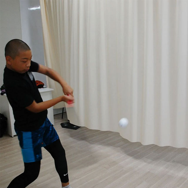 フィールドフォース 発泡スチロールボール 12個入 屋内練習 トレーニング FHSB-12 /スポーツサクライ【スポサク公式通販サイト】｜大阪 ...